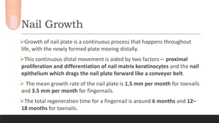 Structure of Nail | PPTX