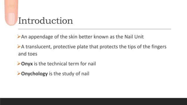 Structure of Nail | PPTX | Nail Care | Beauty