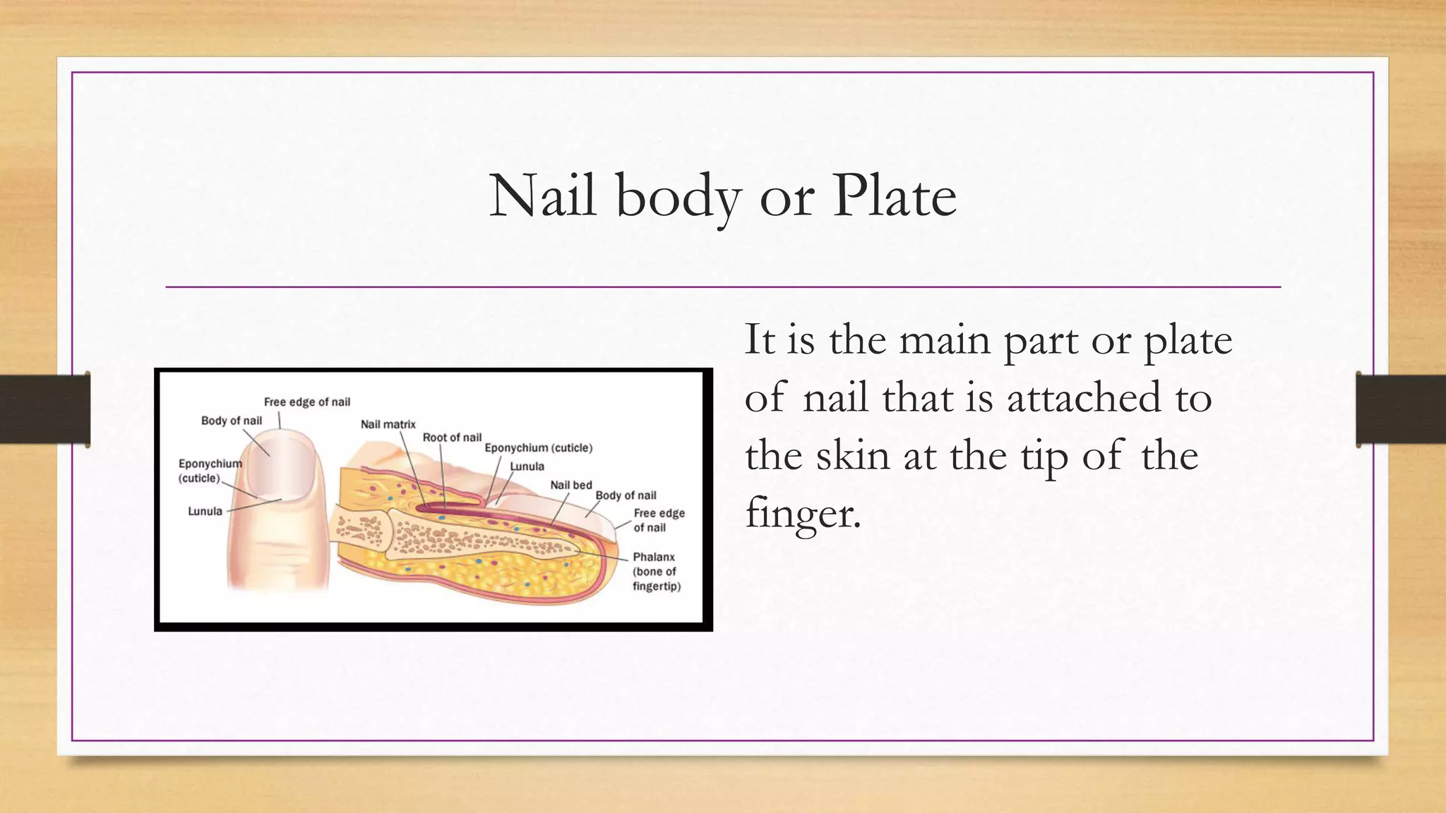 STRUCTURE OF NAILS.pptx