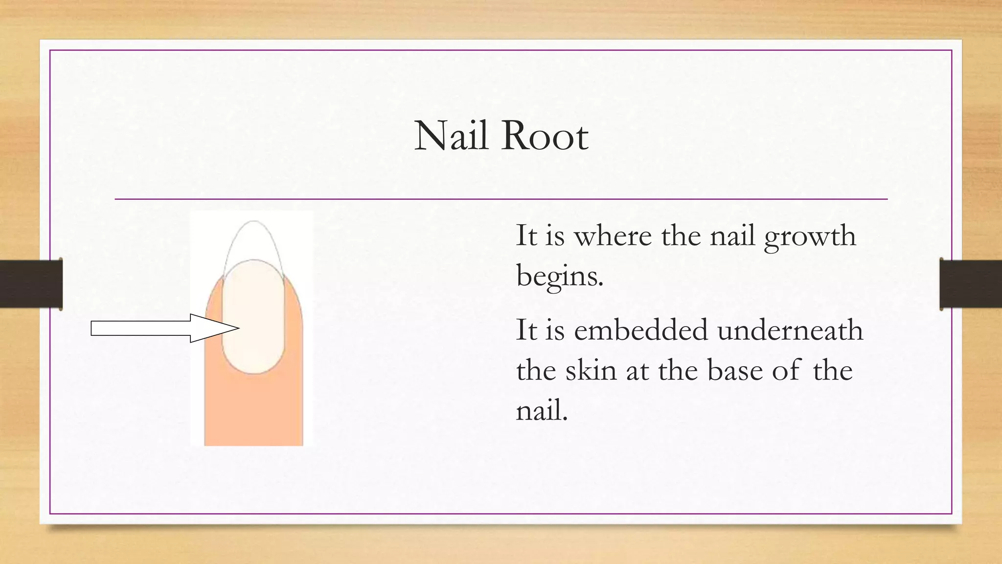 STRUCTURE OF NAILS.pptx