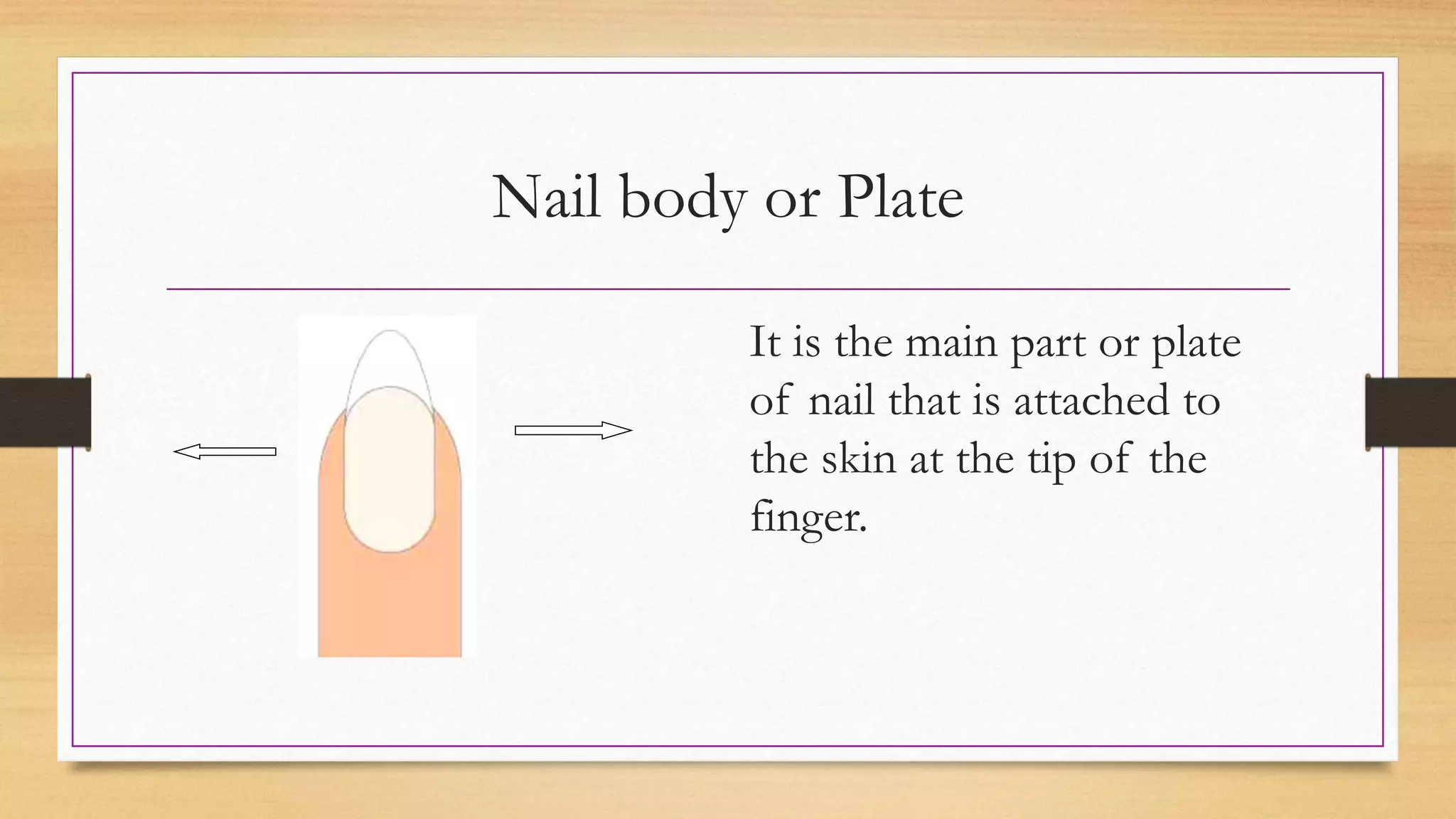 STRUCTURE OF NAILS.pptx
