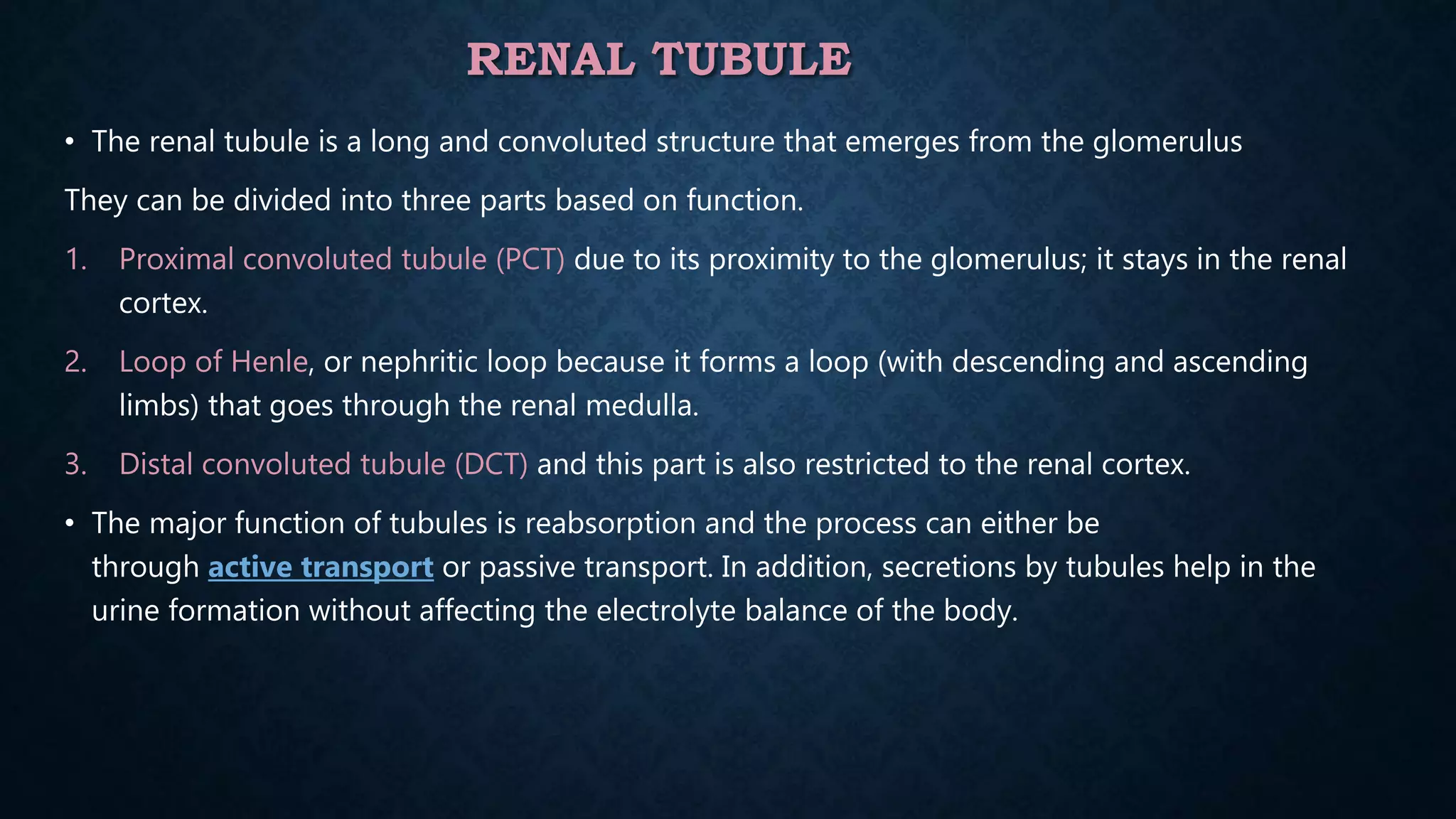 Structure of nephron.pptx