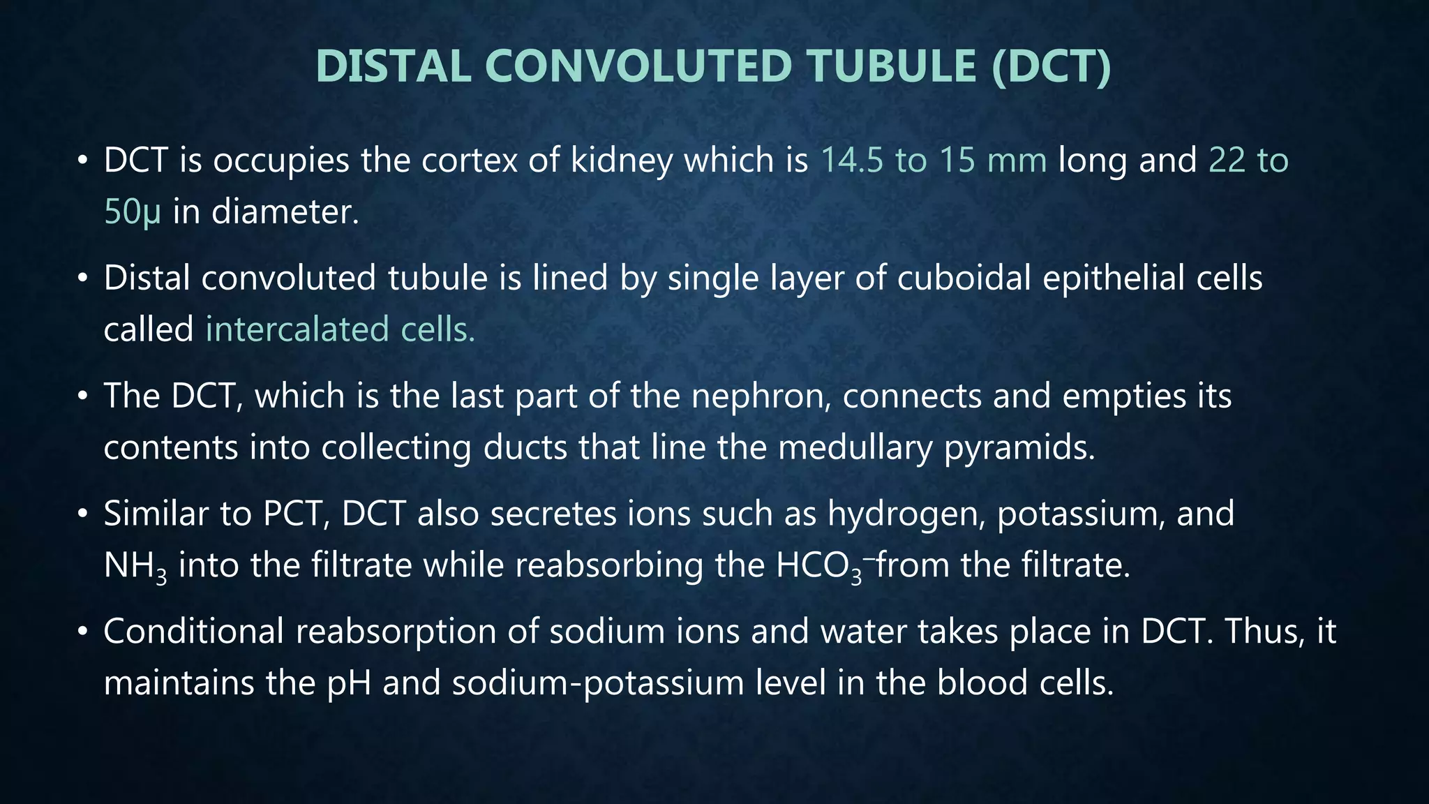 Structure of nephron.pptx