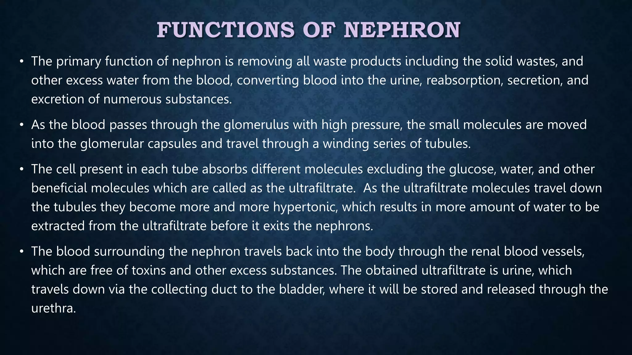 Structure of nephron.pptx
