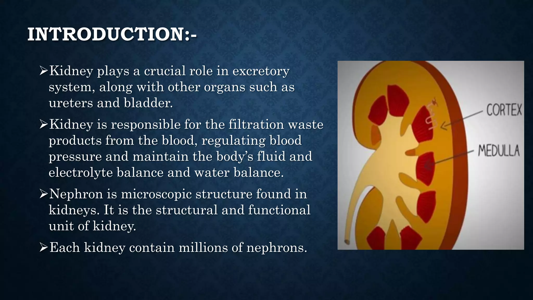 Structure of nephron.pptx