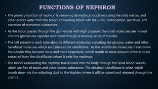 Structure of nephron.pptx