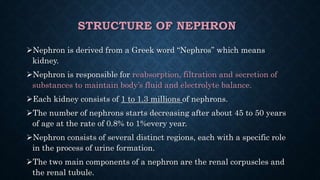 Structure of nephron.pptx