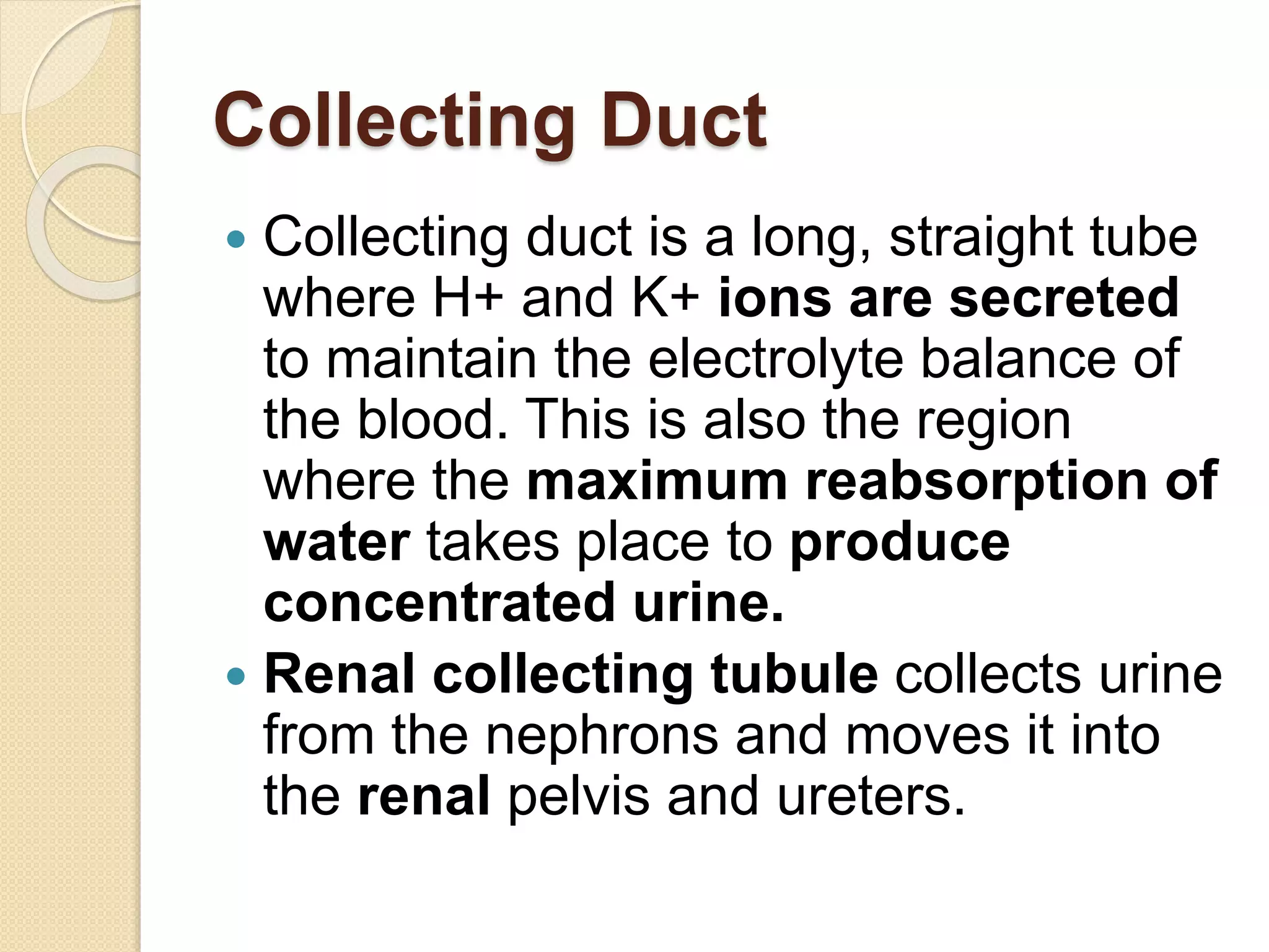 Structure of nephron and functions of its parts | PPTX