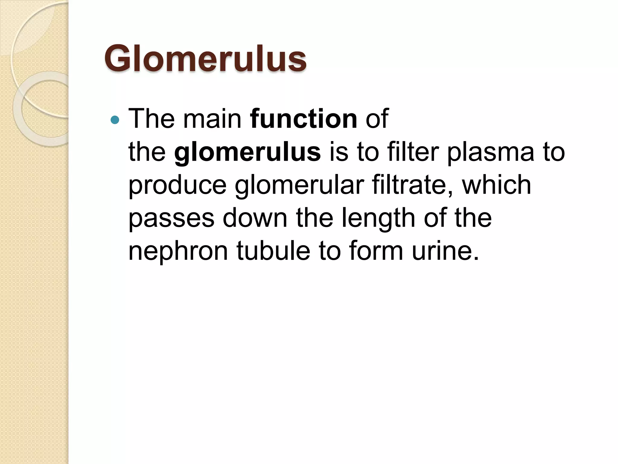 Structure of nephron and functions of its parts | PPTX