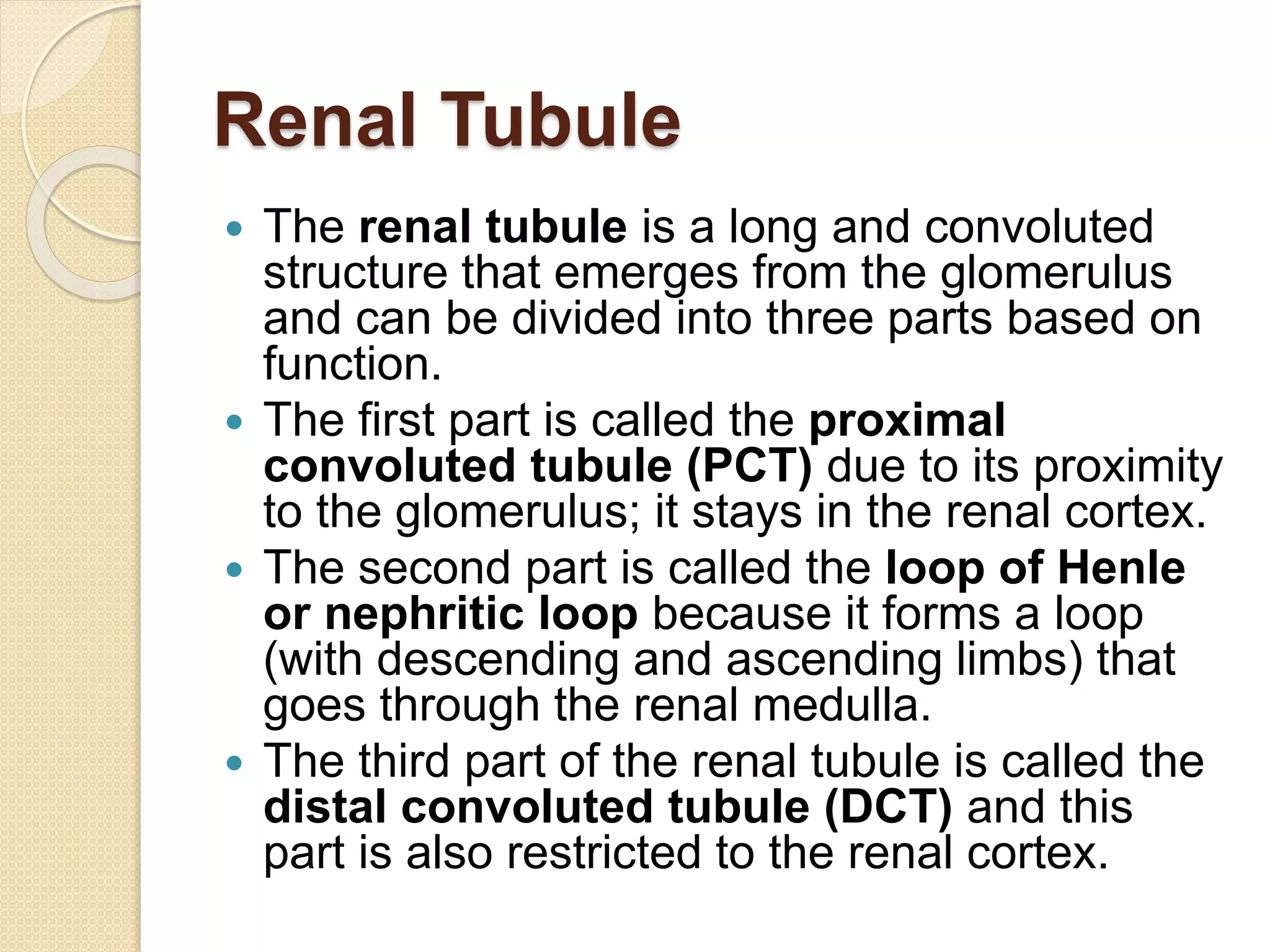 Structure of nephron and functions of its parts | PPTX