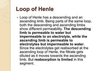 Structure of nephron and functions of its parts | PPTX