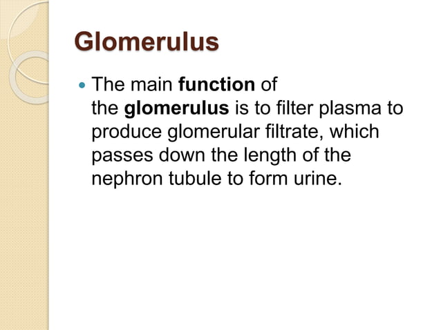 Structure of nephron and functions of its parts | PPTX | Endocrine and ...