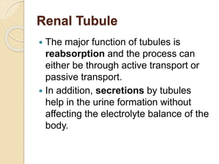 Structure of nephron and functions of its parts | PPTX