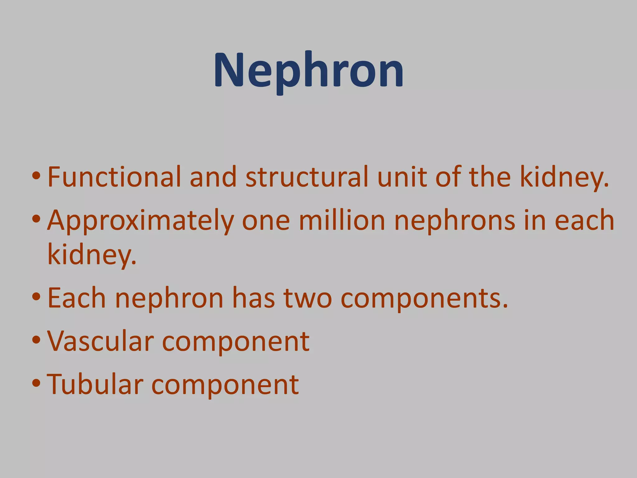 STRUCTURE OF NEPHRON by Brijesh Singh.pptx