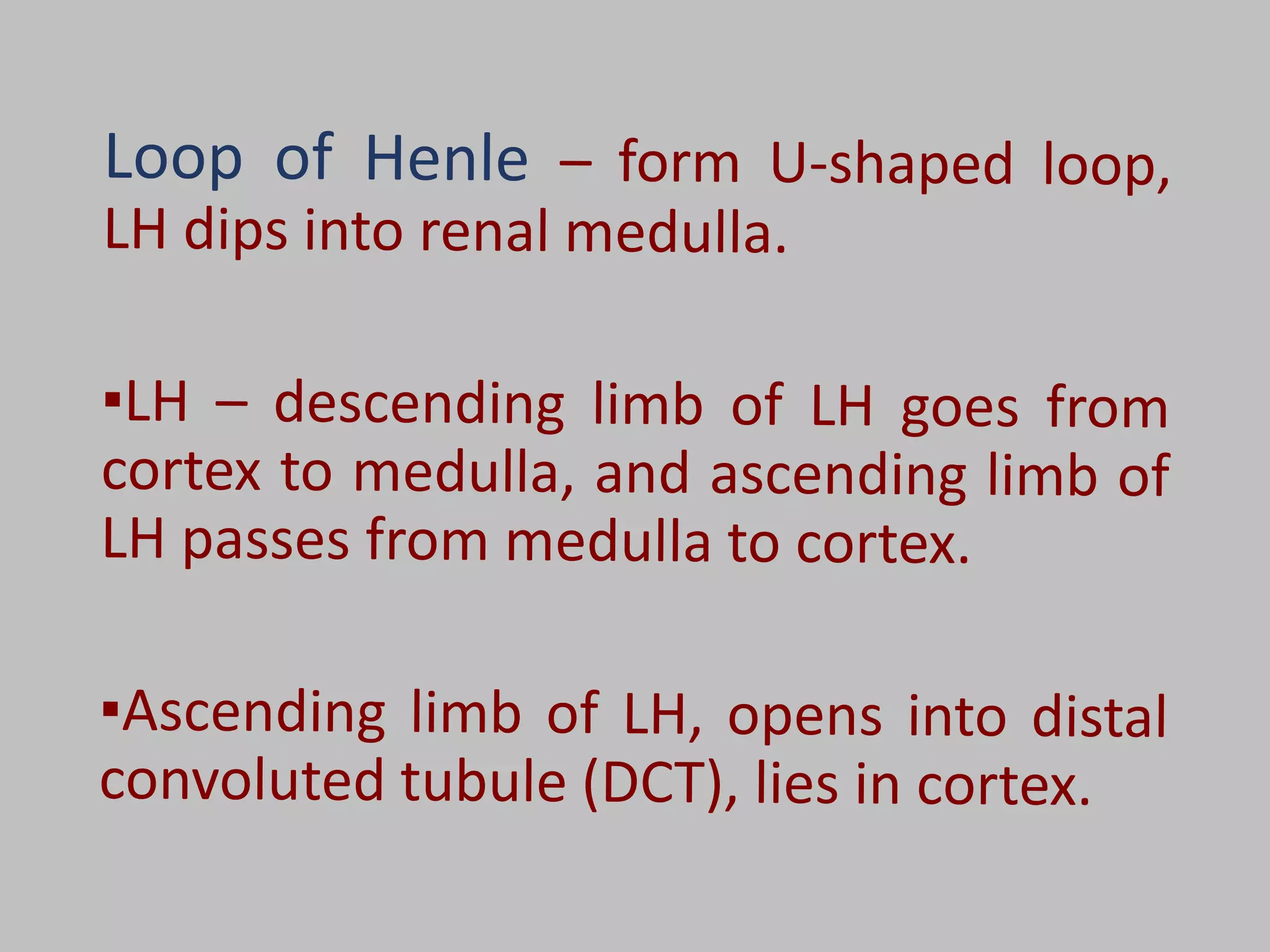 STRUCTURE OF NEPHRON by Brijesh Singh.pptx