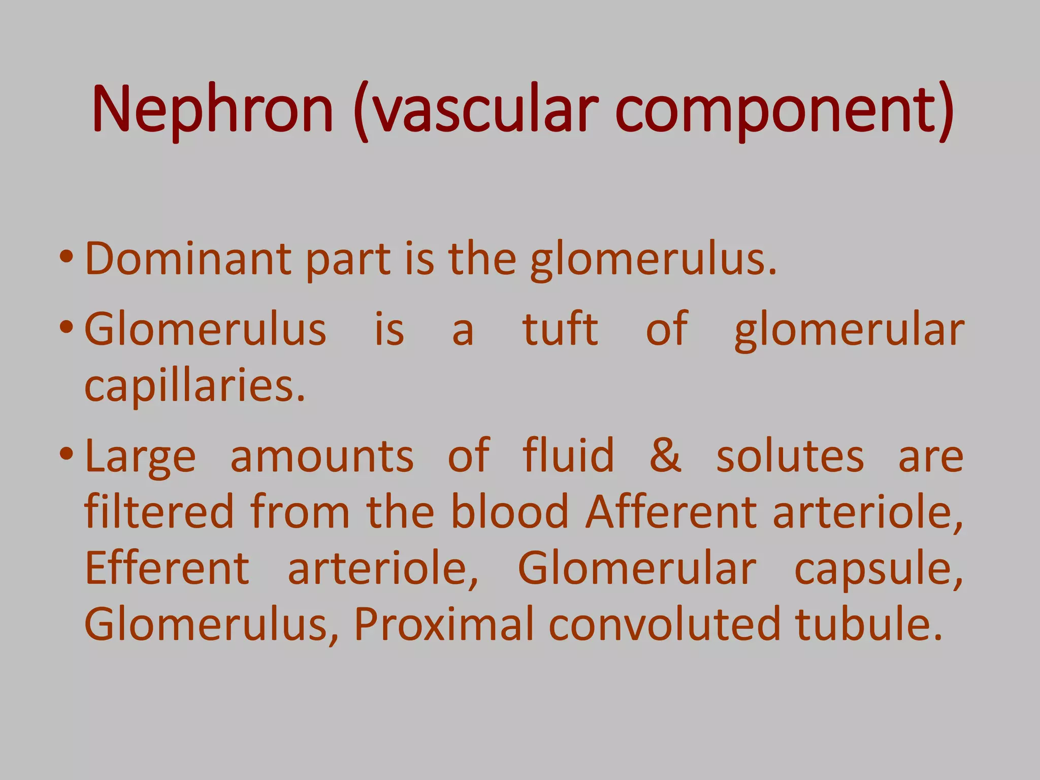 STRUCTURE OF NEPHRON by Brijesh Singh.pptx