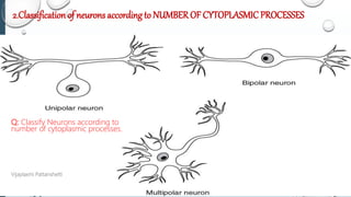 Structure of neuron | PPTX
