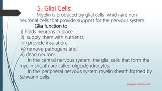 Structure of neuron | PPTX