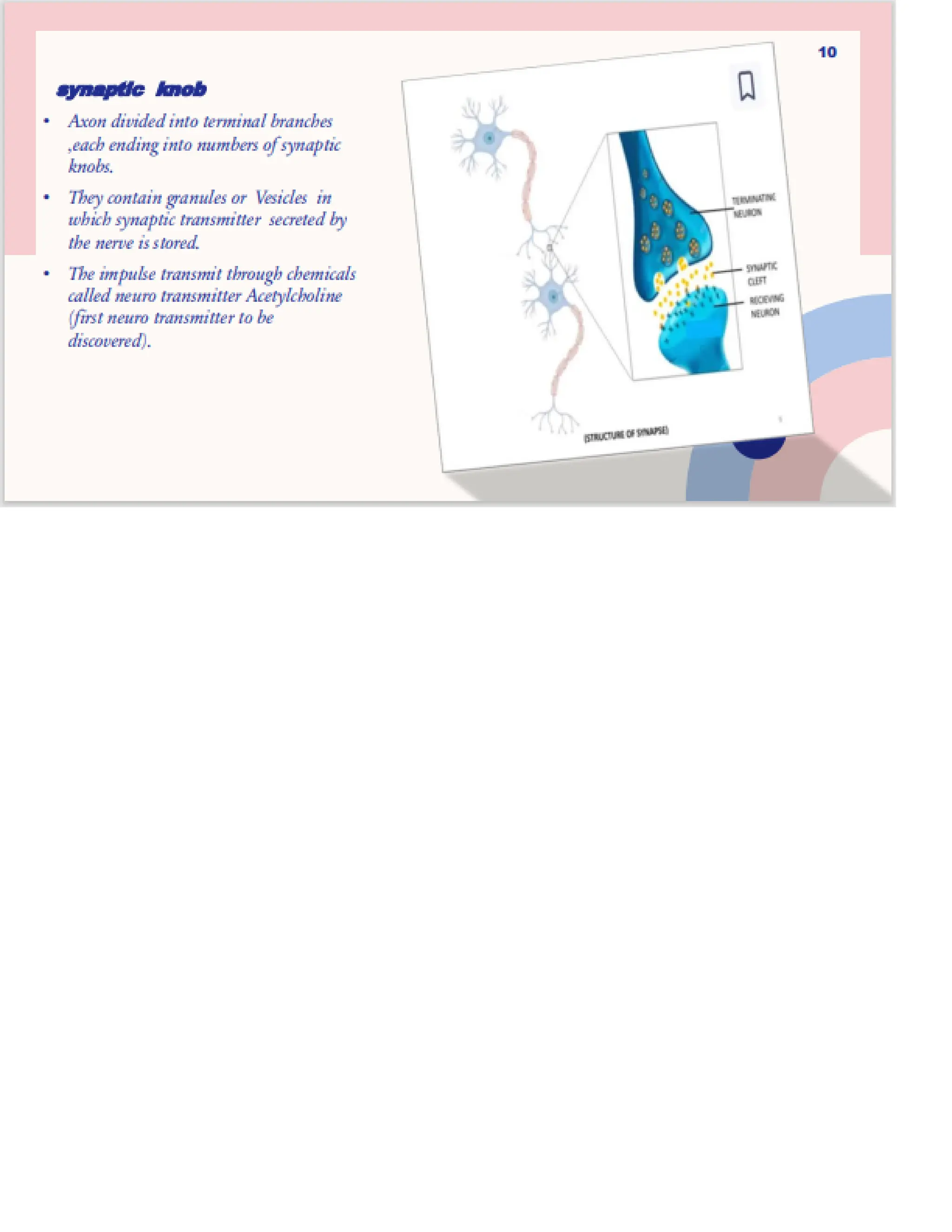 Structure of neuron ,their types and functions | PDF