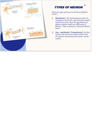 Structure of neuron ,their types and functions | PDF