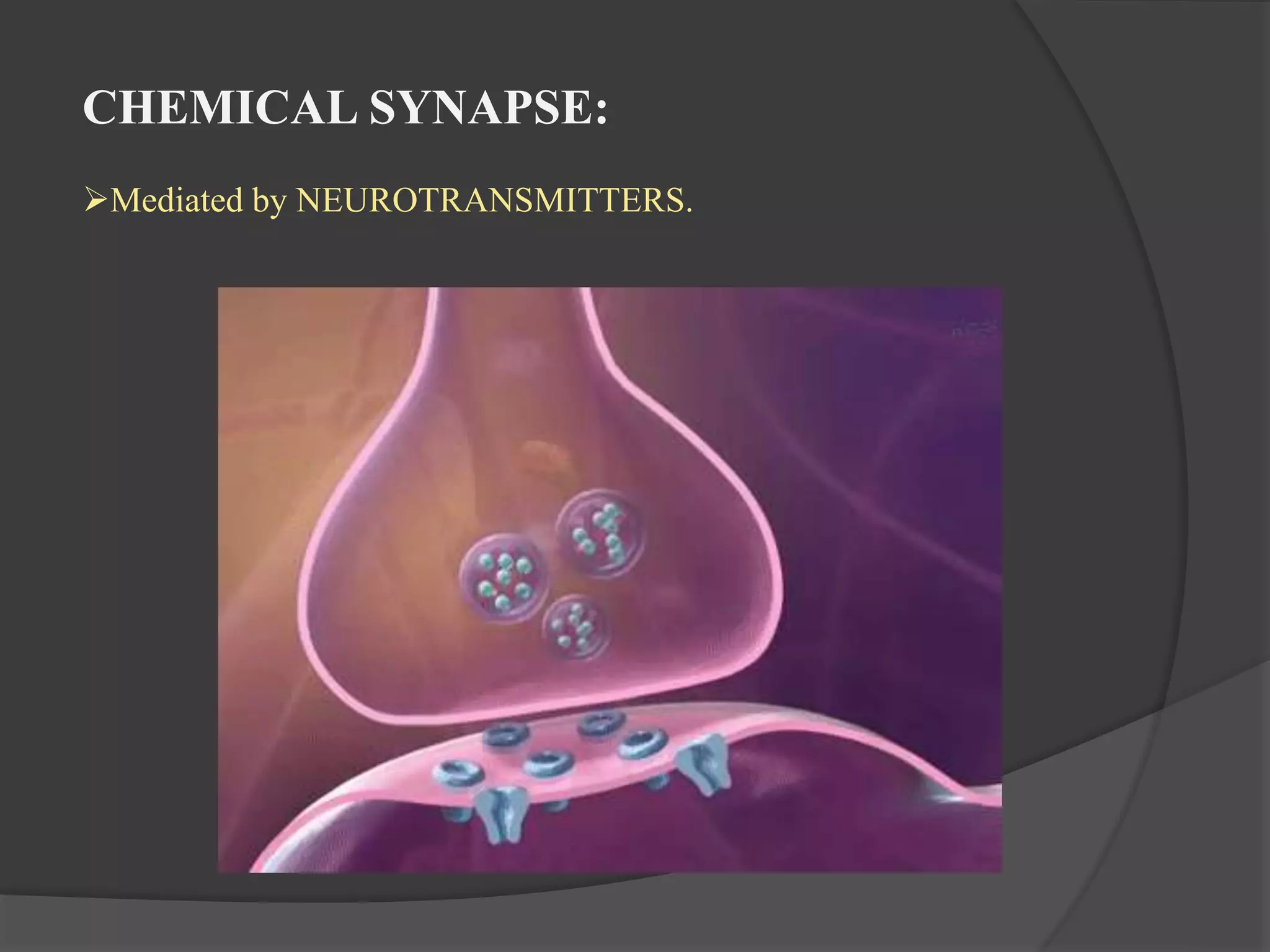 Structure of neuron and propagation mechanism of nerve impulse | PPTX
