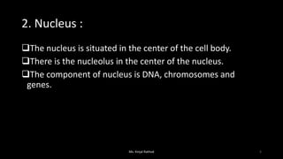 Structure Of Neuron | PPTX