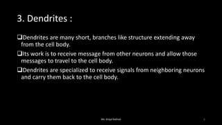 Structure Of Neuron | PPTX