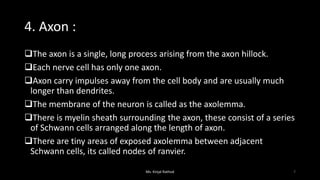 Structure Of Neuron | PPTX | Brain and Nervous System Disorders ...