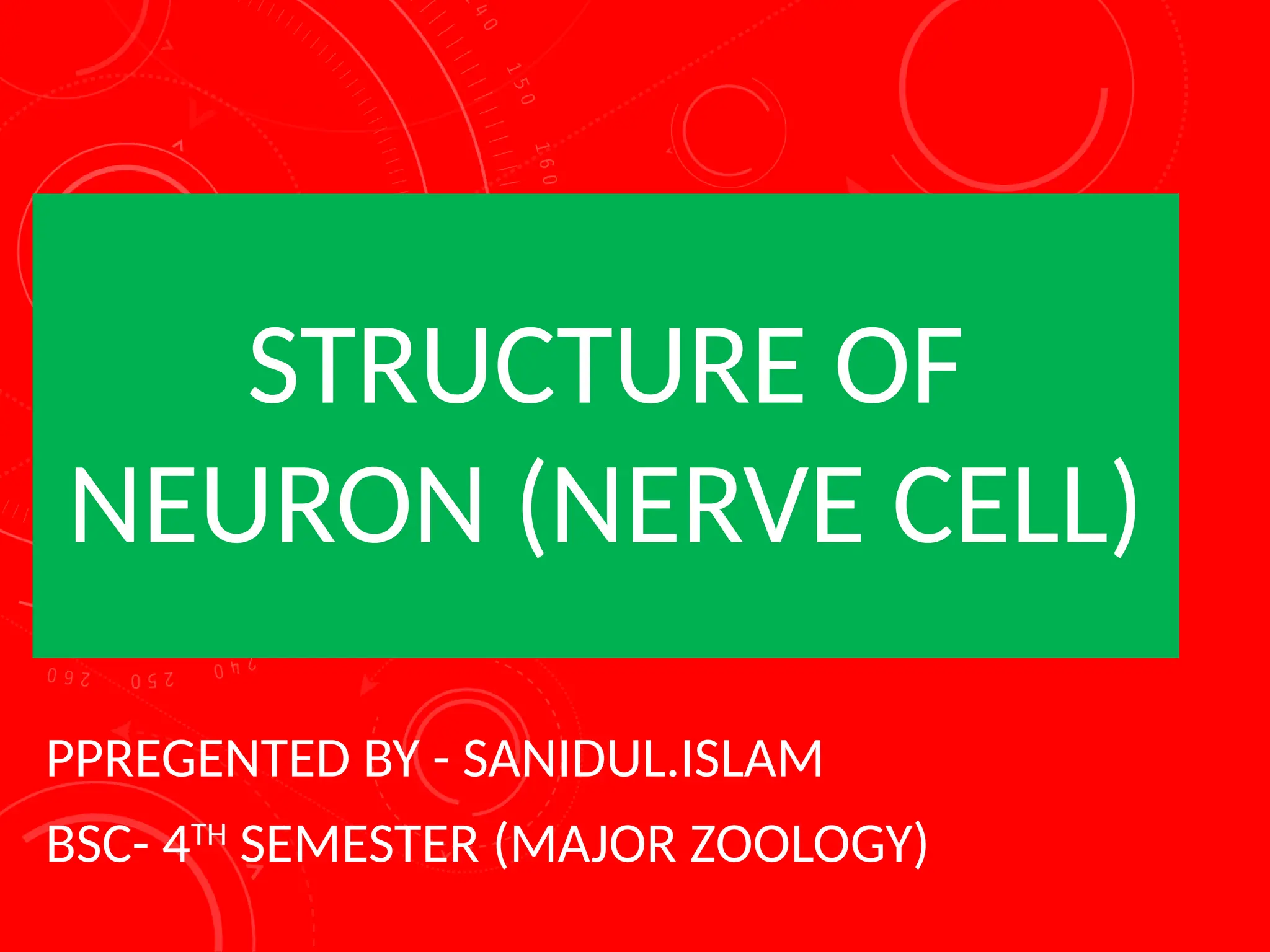 Structure of Neuron( nerve cell)ppt.pptx .Presented by sanidul islam | PPTX