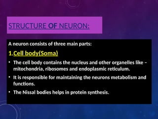Structure of Neuron( nerve cell)ppt.pptx .Presented by sanidul islam | PPT