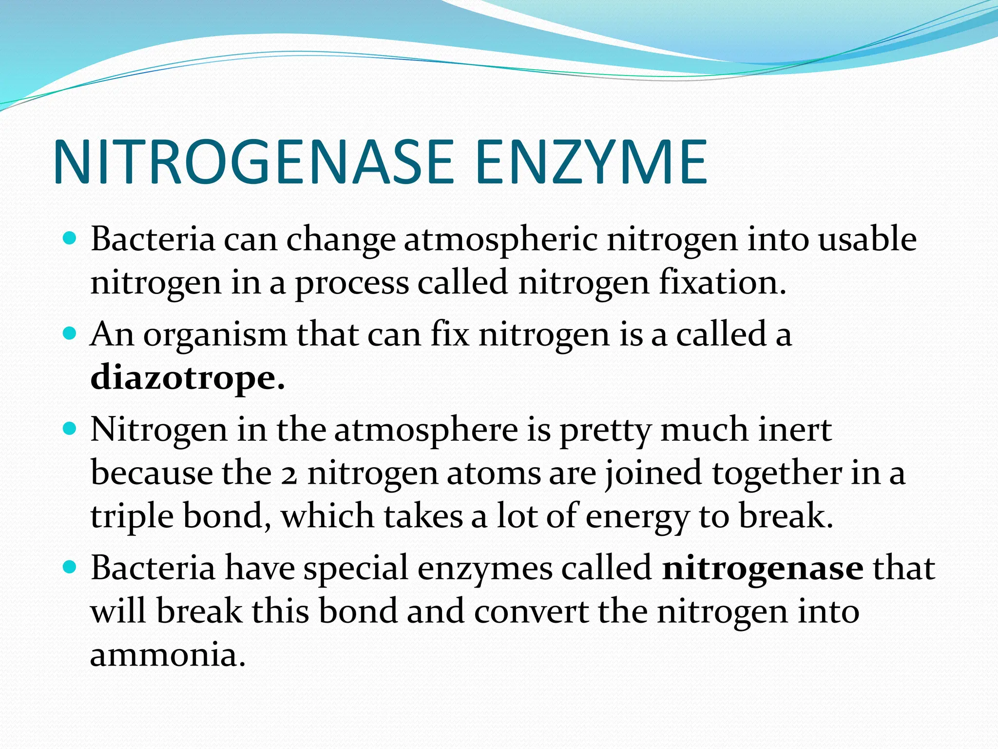 STRUCTURE OF NITROGENASE enzyme group 8 ppt.pptx