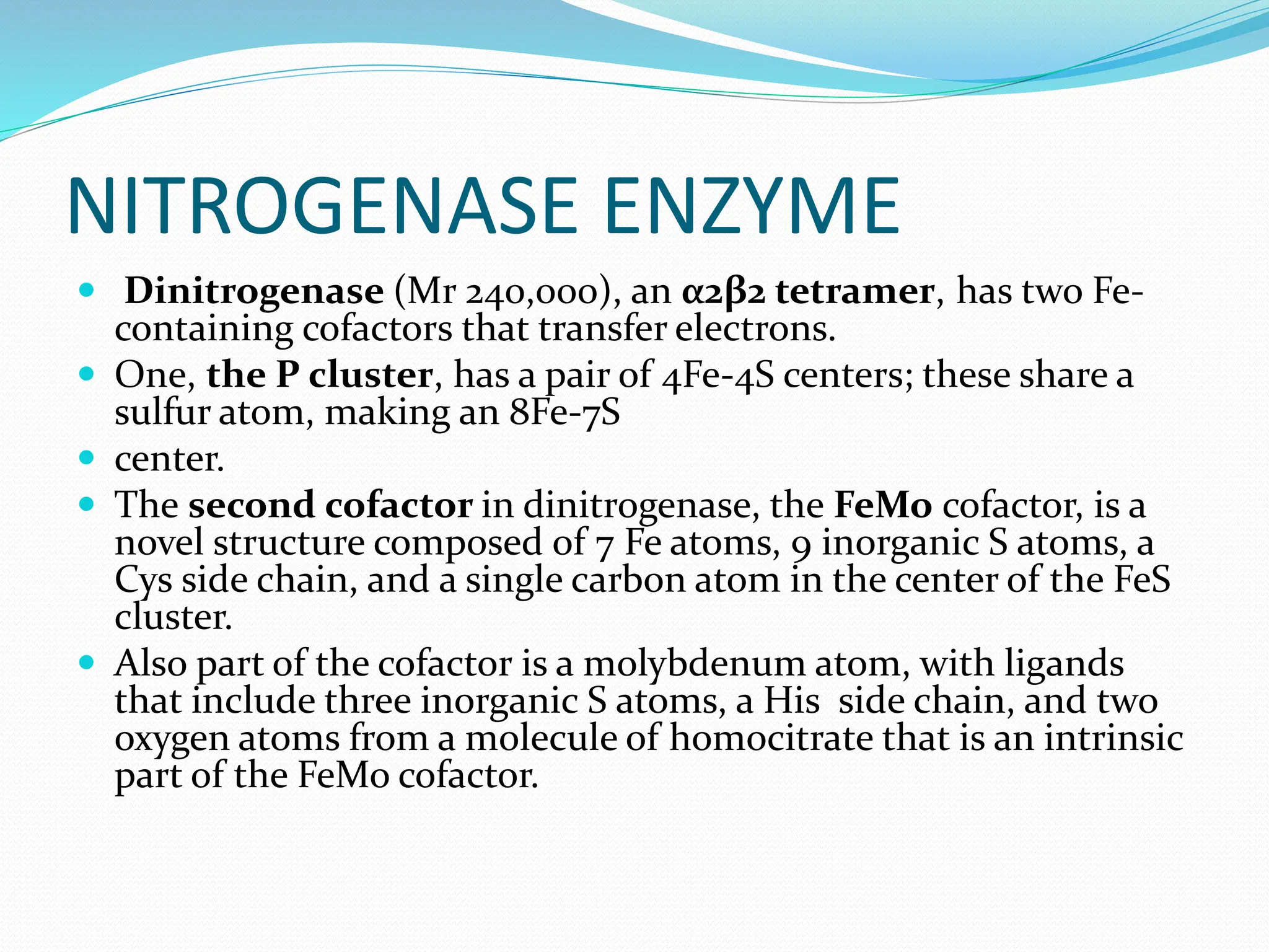 STRUCTURE OF NITROGENASE enzyme group 8 ppt.pptx