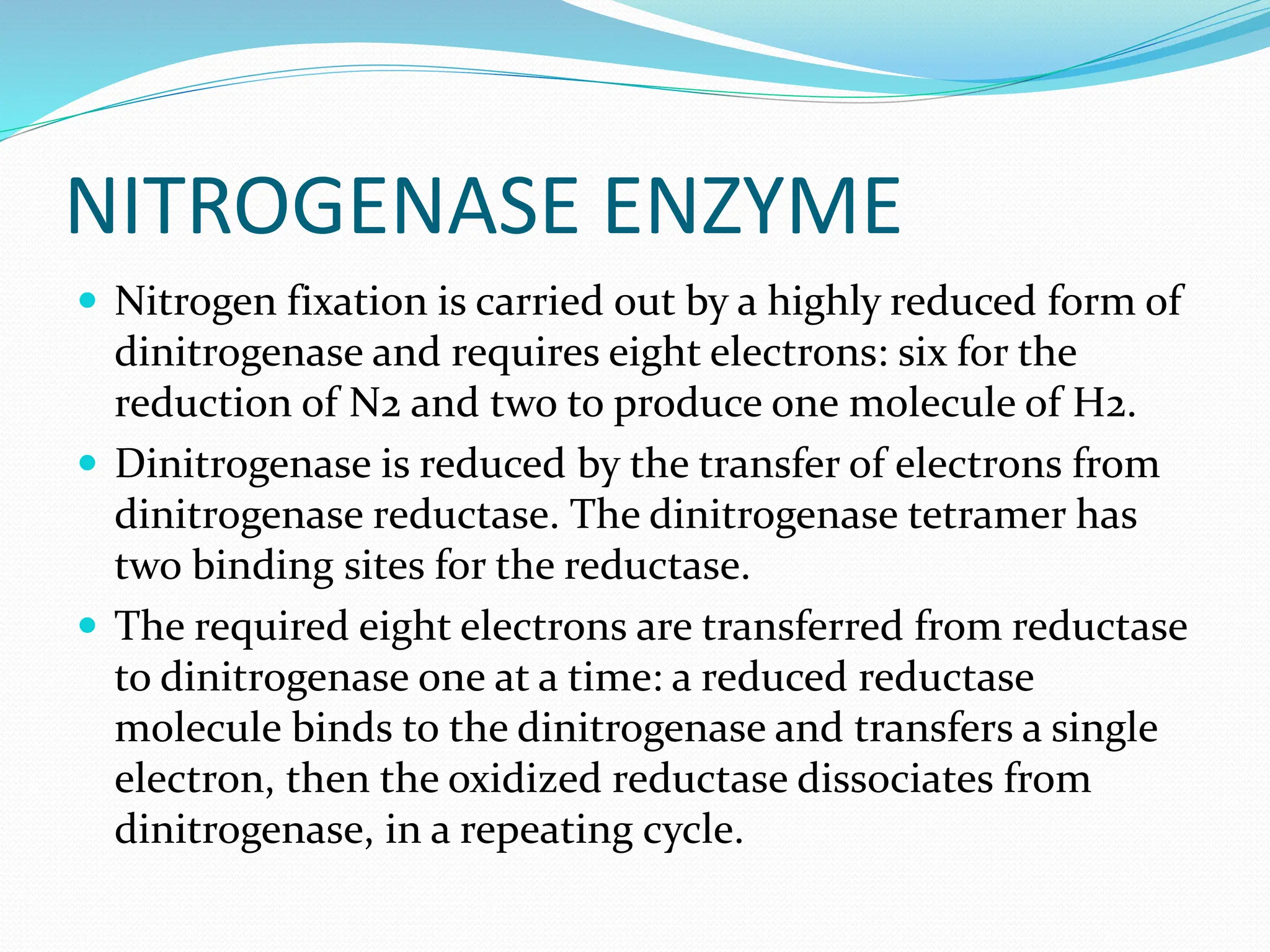 STRUCTURE OF NITROGENASE enzyme group 8 ppt.pptx