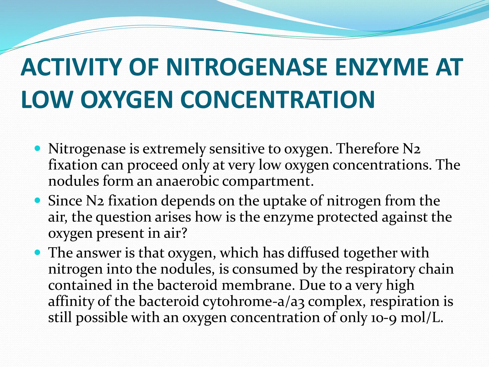 STRUCTURE OF NITROGENASE enzyme group 8 ppt.pptx