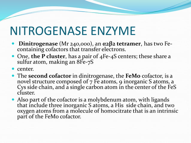 STRUCTURE OF NITROGENASE enzyme group 8 ppt.pptx