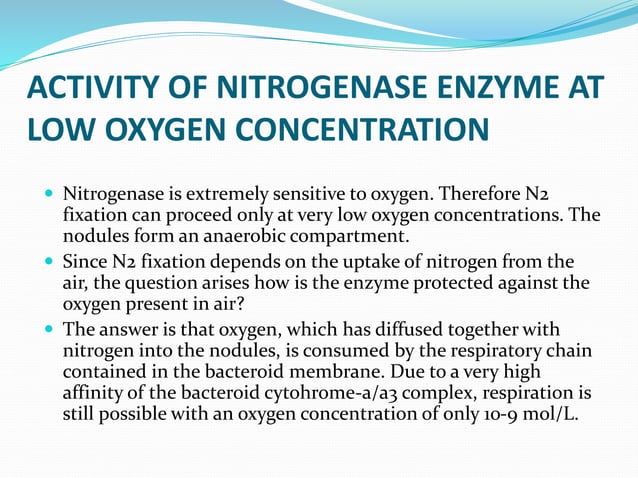 STRUCTURE OF NITROGENASE enzyme group 8 ppt.pptx