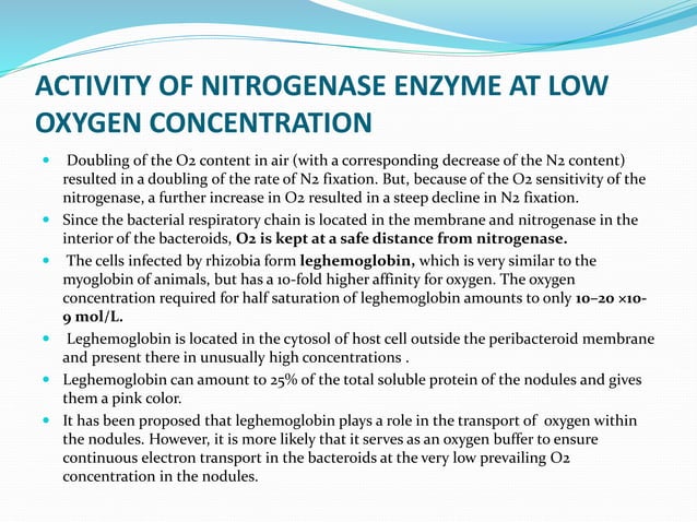 STRUCTURE OF NITROGENASE enzyme group 8 ppt.pptx