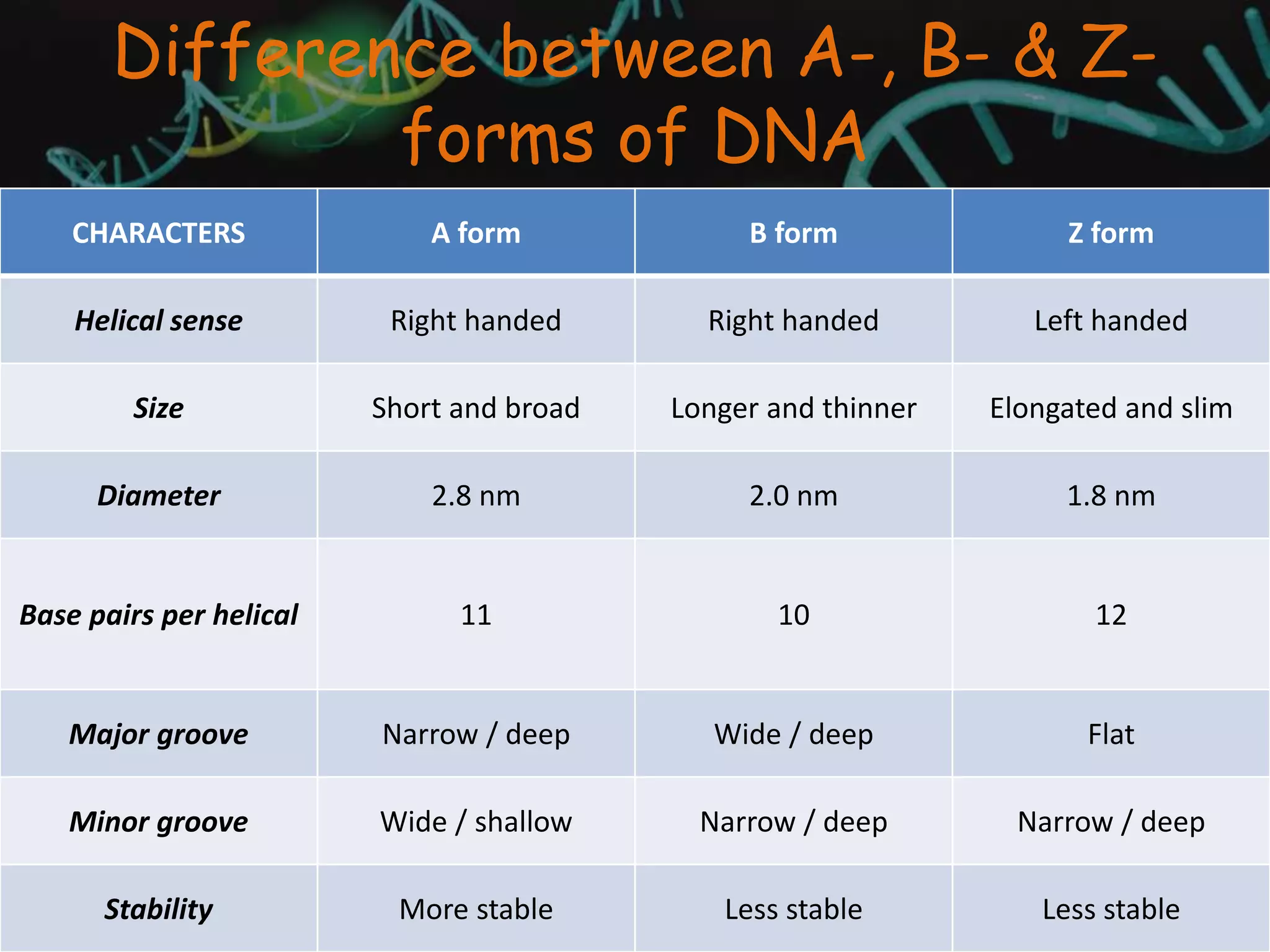 Structure of nucleic acids | PPTX