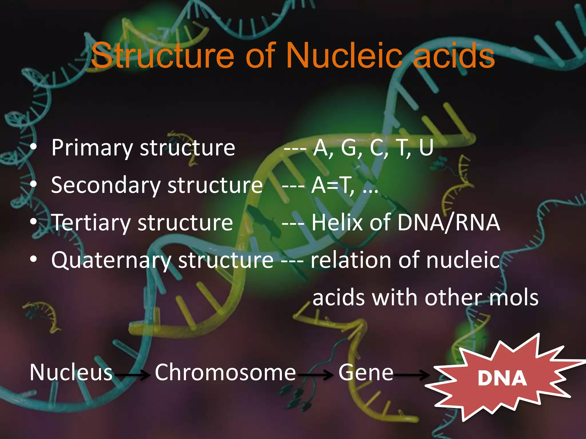 Structure of nucleic acids | PPTX