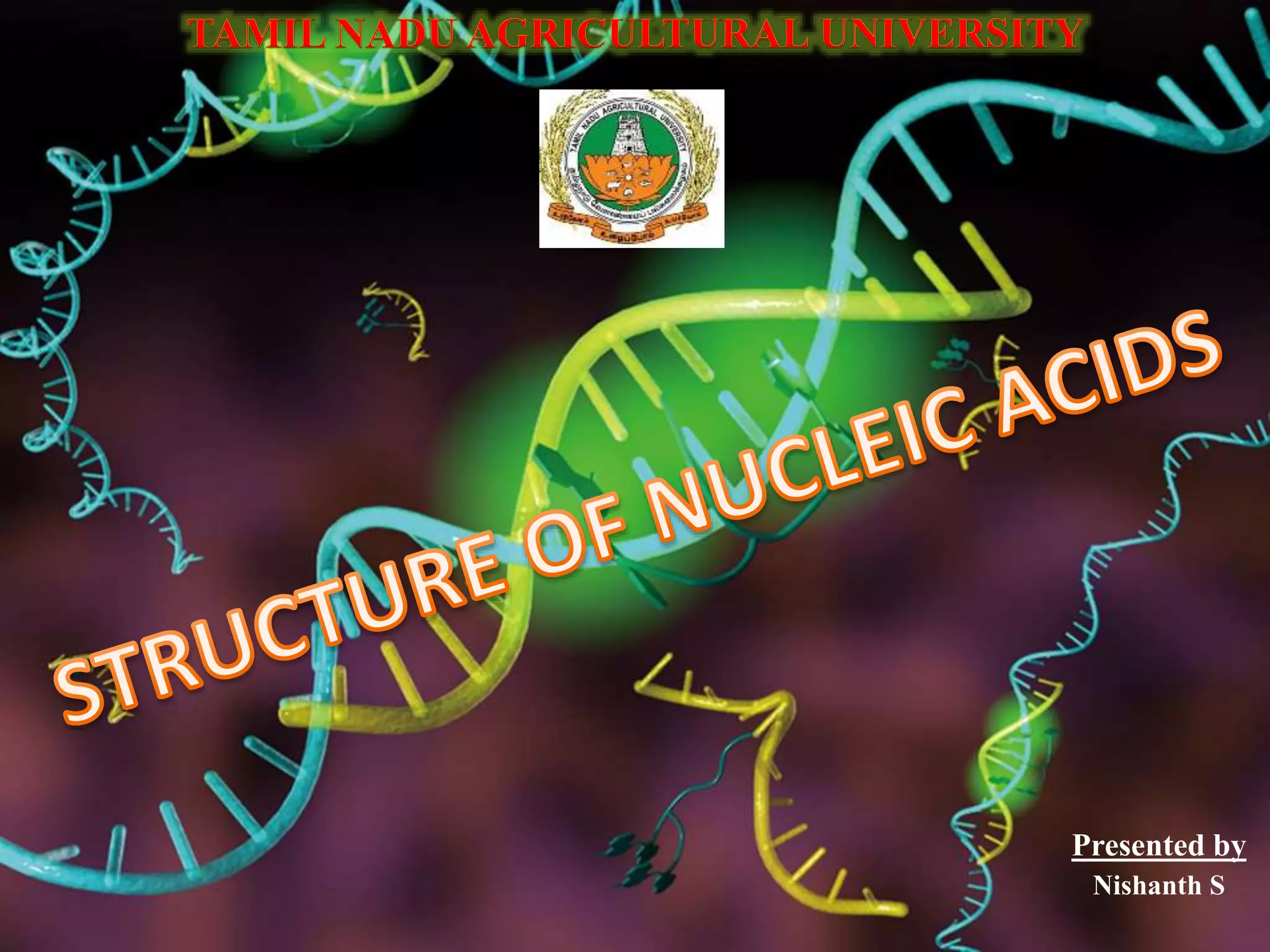 Structure of nucleic acids | PPT