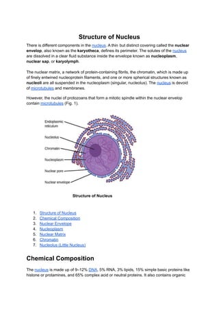 Structure of Nucleus | PDF