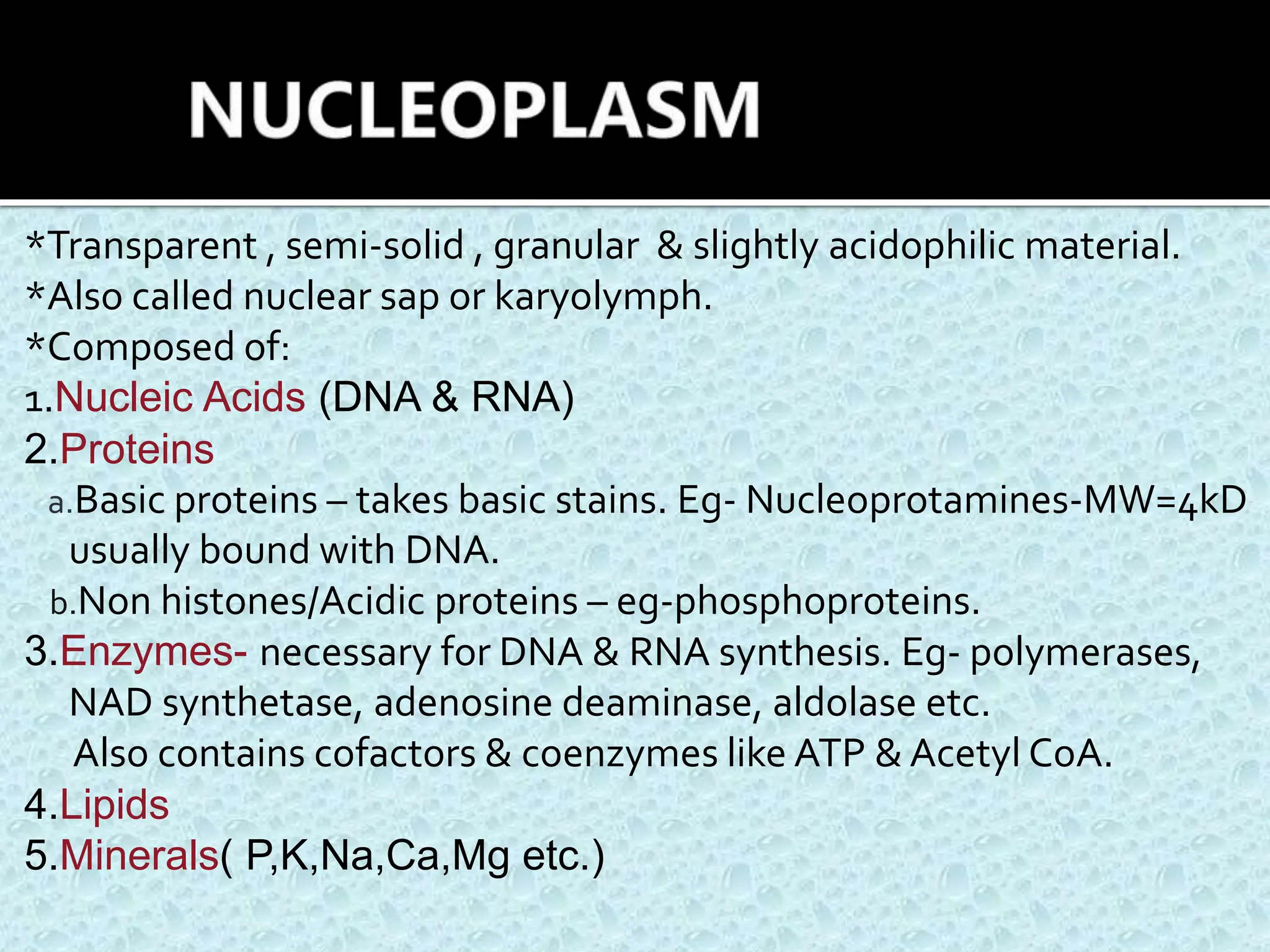 Structure of Nucleus 1.pptx