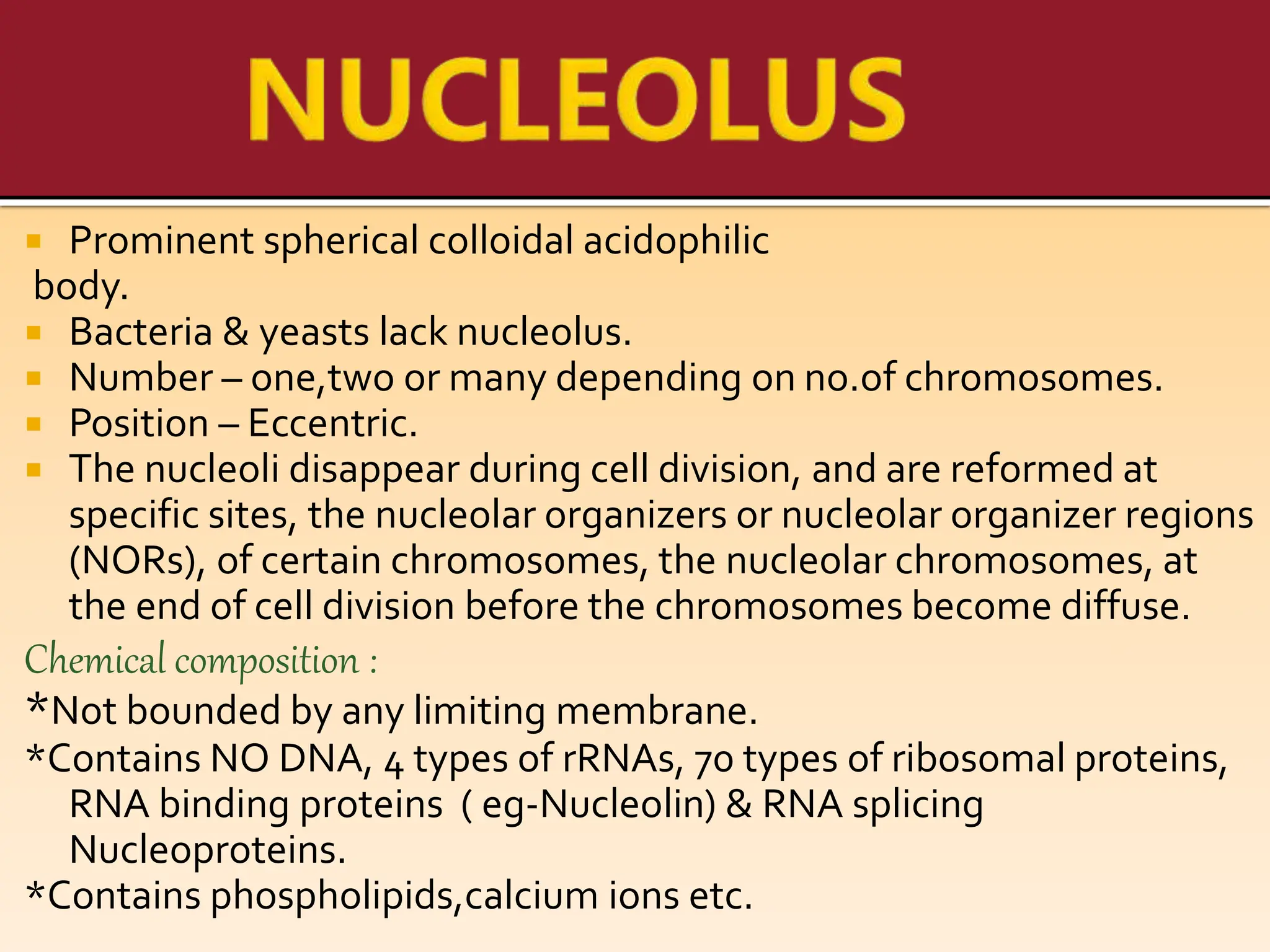 Structure of Nucleus 1.pptx