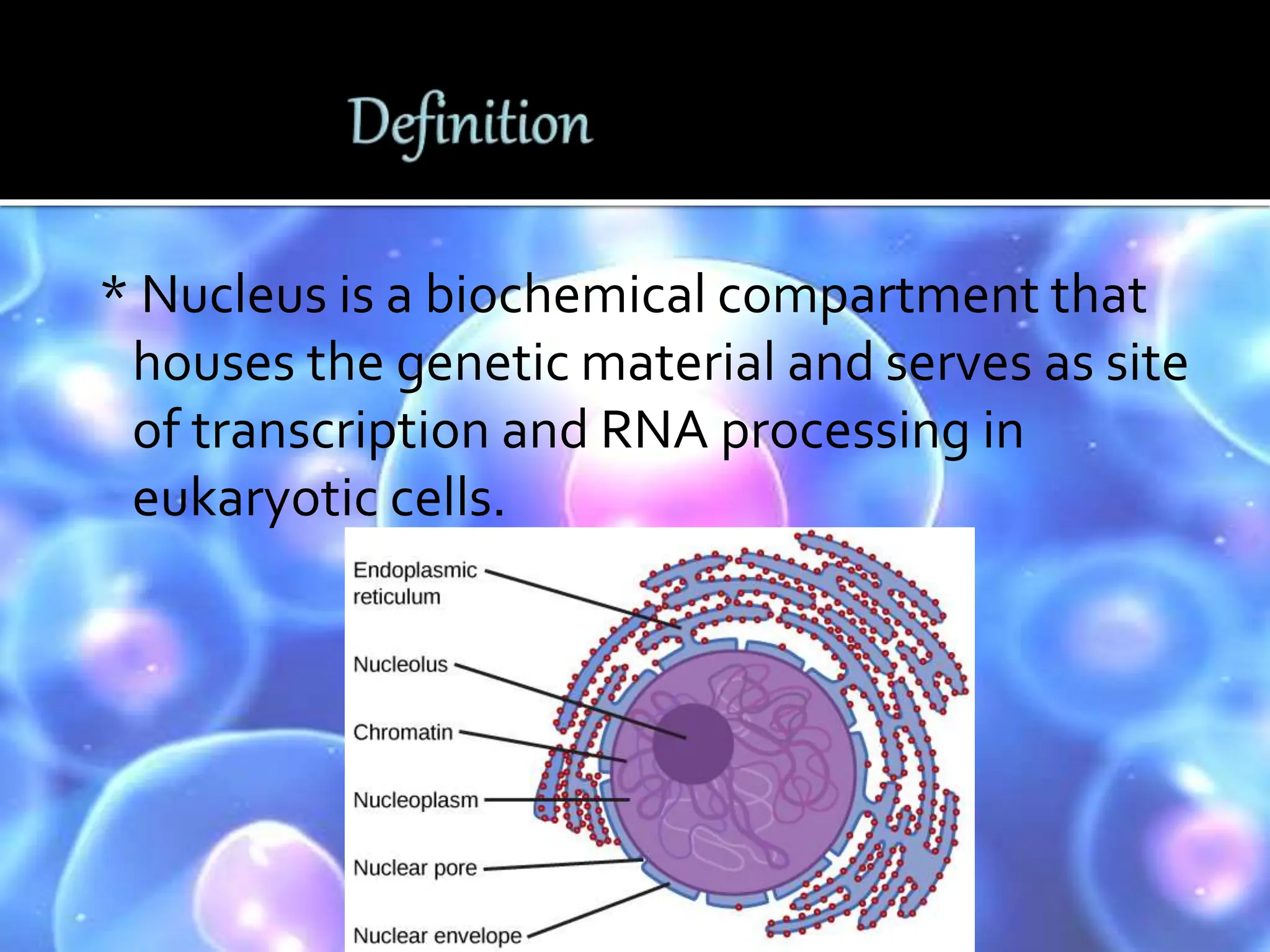 Structure of Nucleus 1.pptx