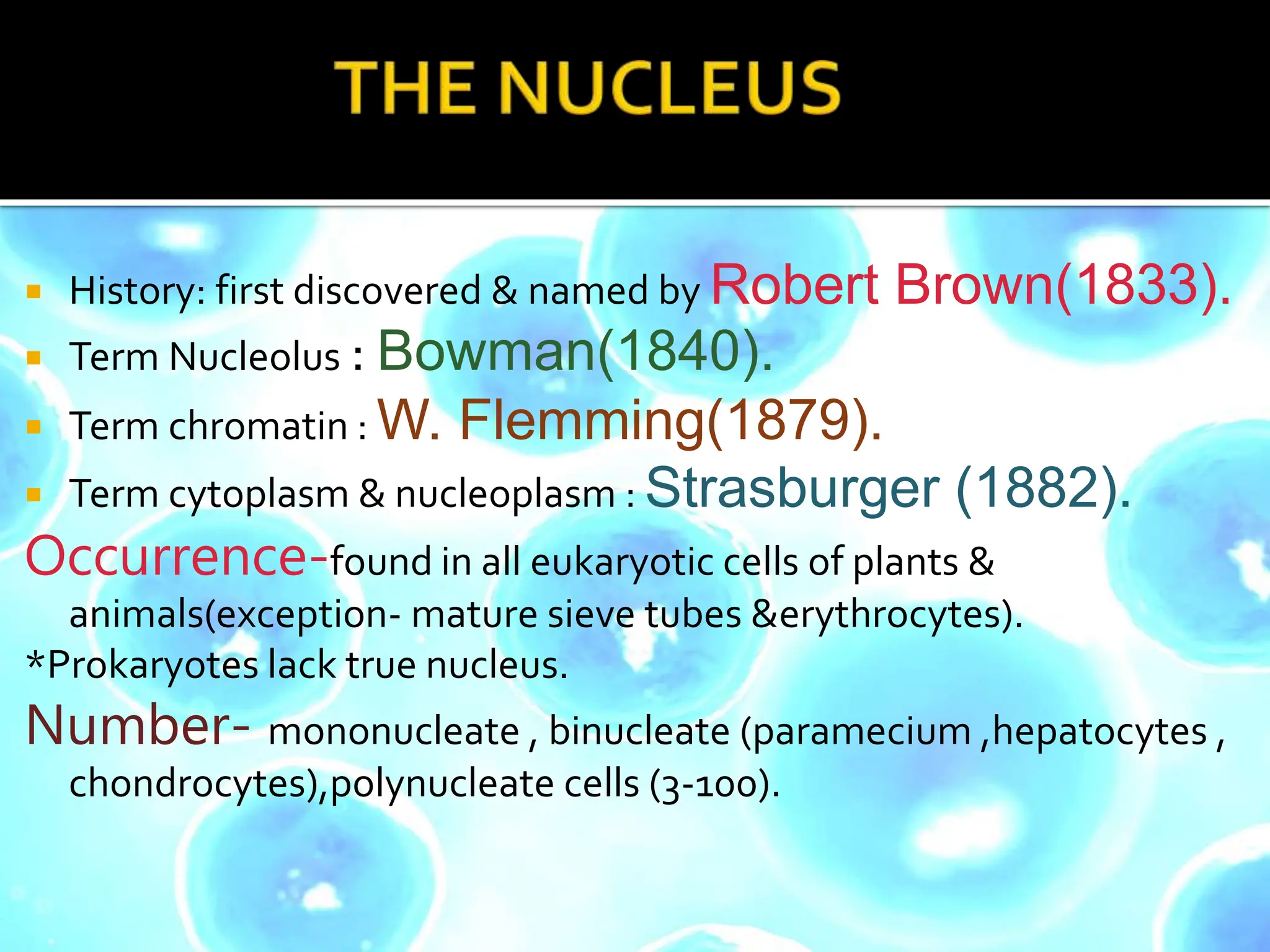 Structure of Nucleus 1.pptx
