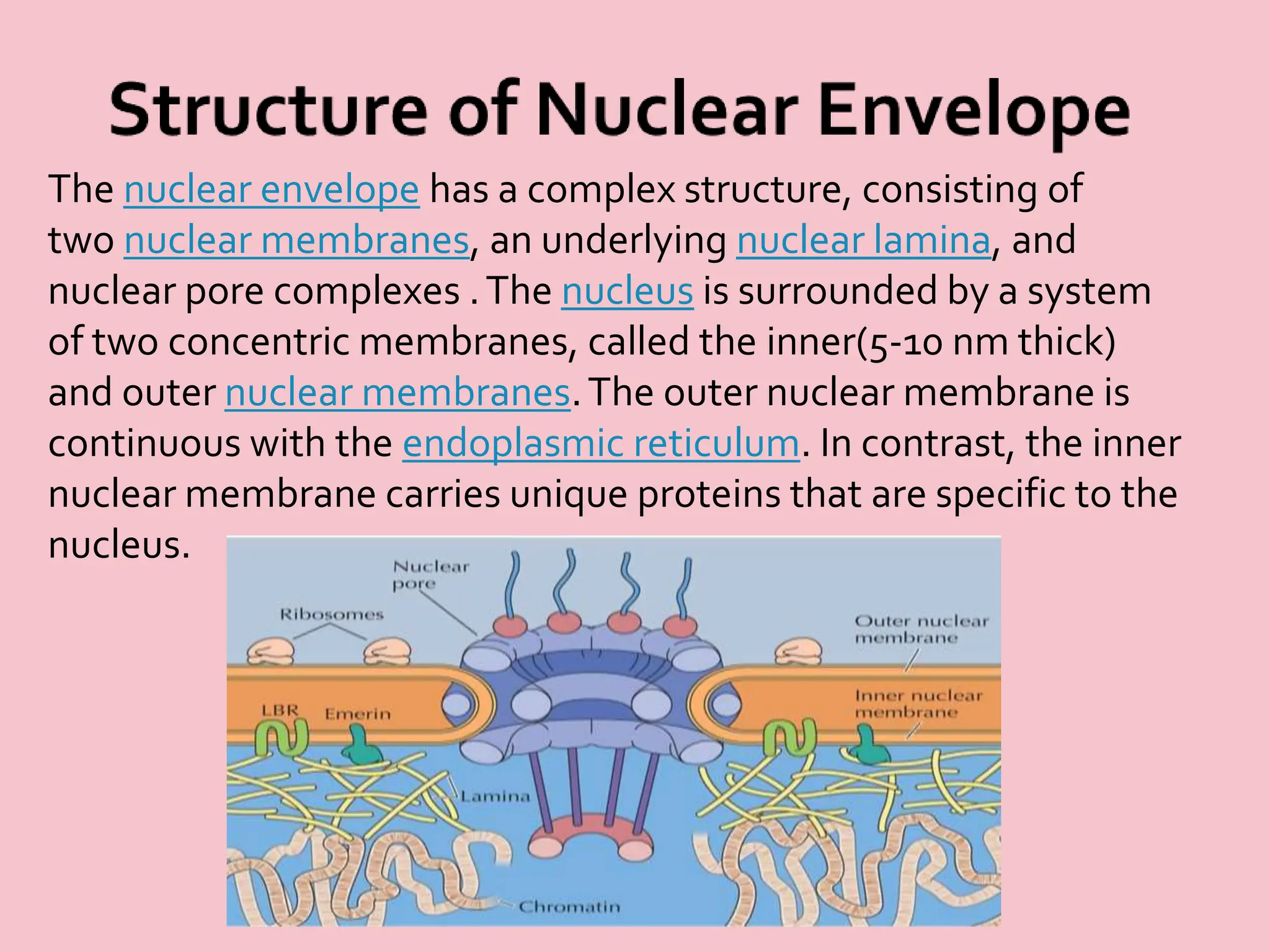 Structure of Nucleus 1.pptx