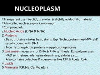 Structure of Nucleus 1.pptx