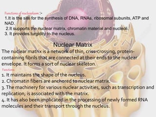 Structure of Nucleus 1.pptx