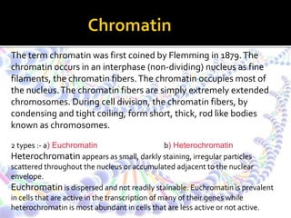 Structure of Nucleus 1.pptx