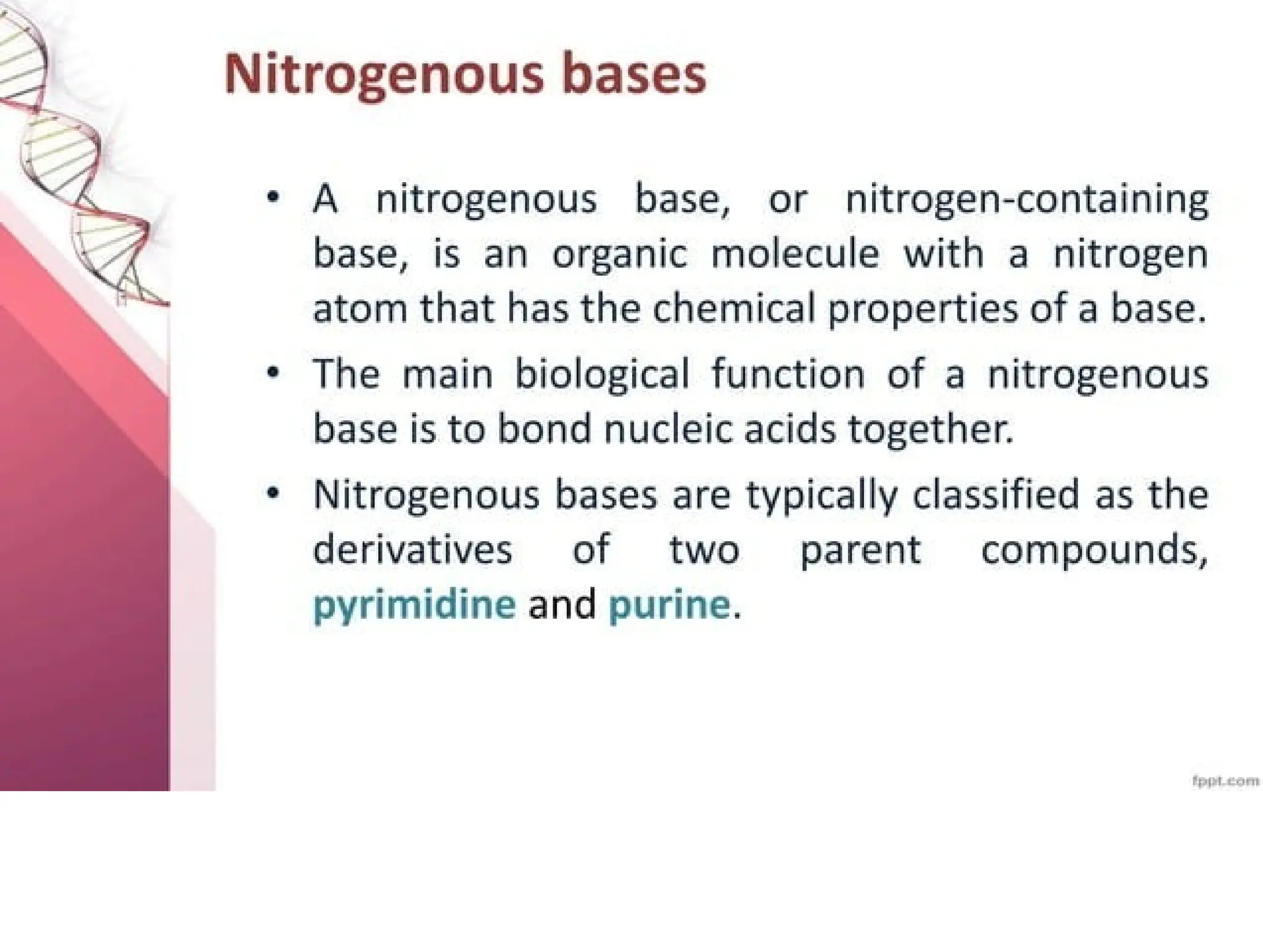 Structure of nucliec acid, nitrogenous bases, purines, pyrimidine, .pptx